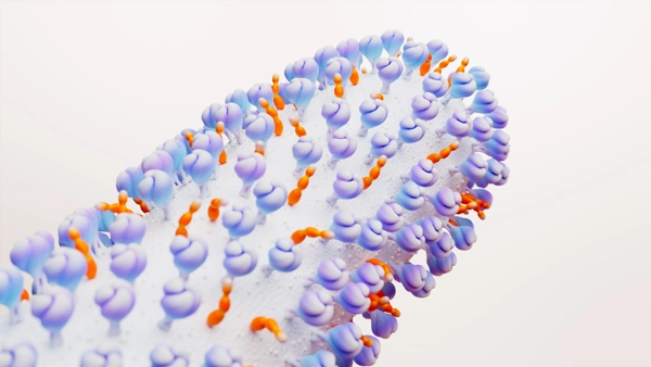 RSV (Respiratory Syncytial Virus) | GSK US