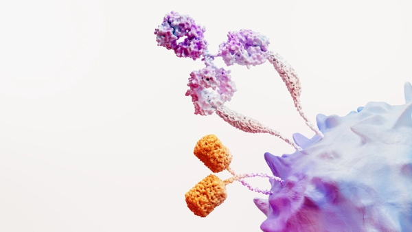 Five for Five | GSK US